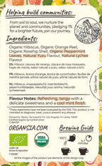 aromatic mint tea for relaxation