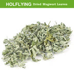 aromatic mugwort for herbal blends