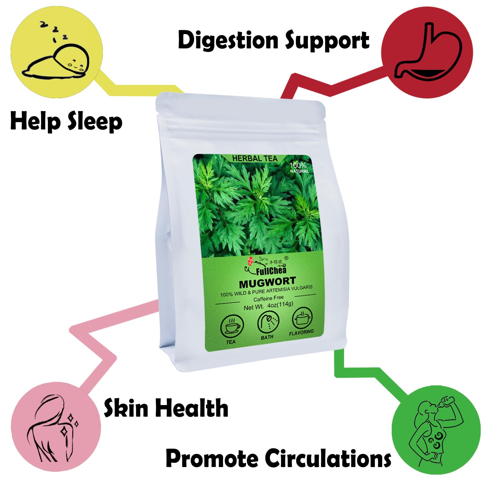 aromatic mugwort for herbal infusions