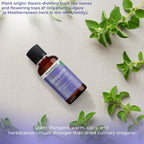 aromatic oil of oregano for aromatherapy