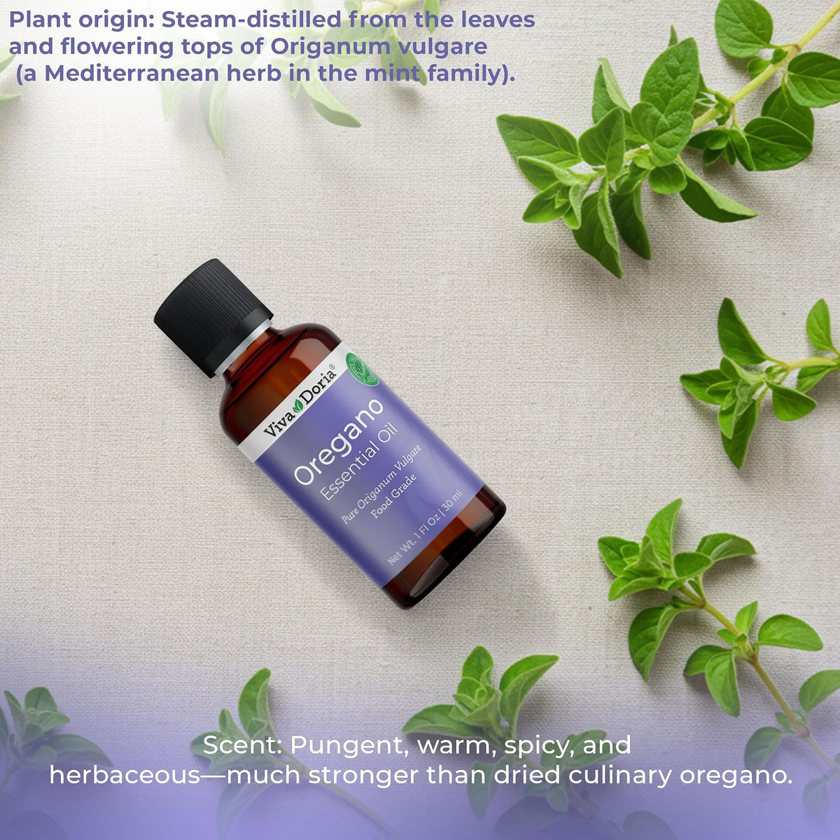 aromatic oil of oregano for aromatherapy