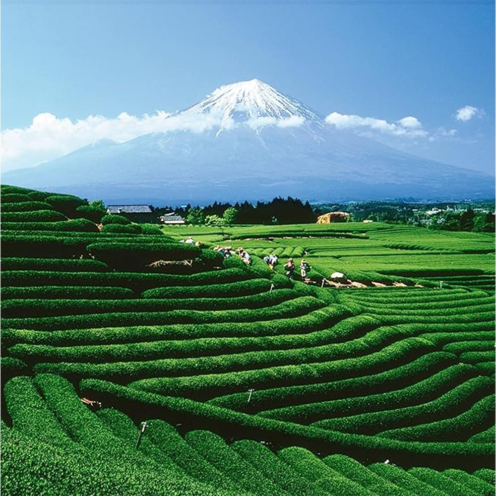 aromatic Palais des Thés tea
