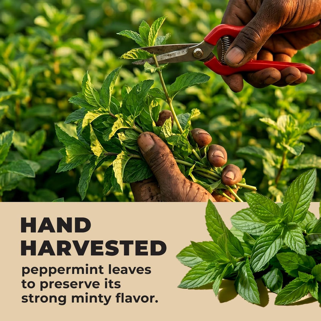 aromatic peppermint tea for relaxation
