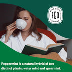 aromatic peppermint tea for wellness
