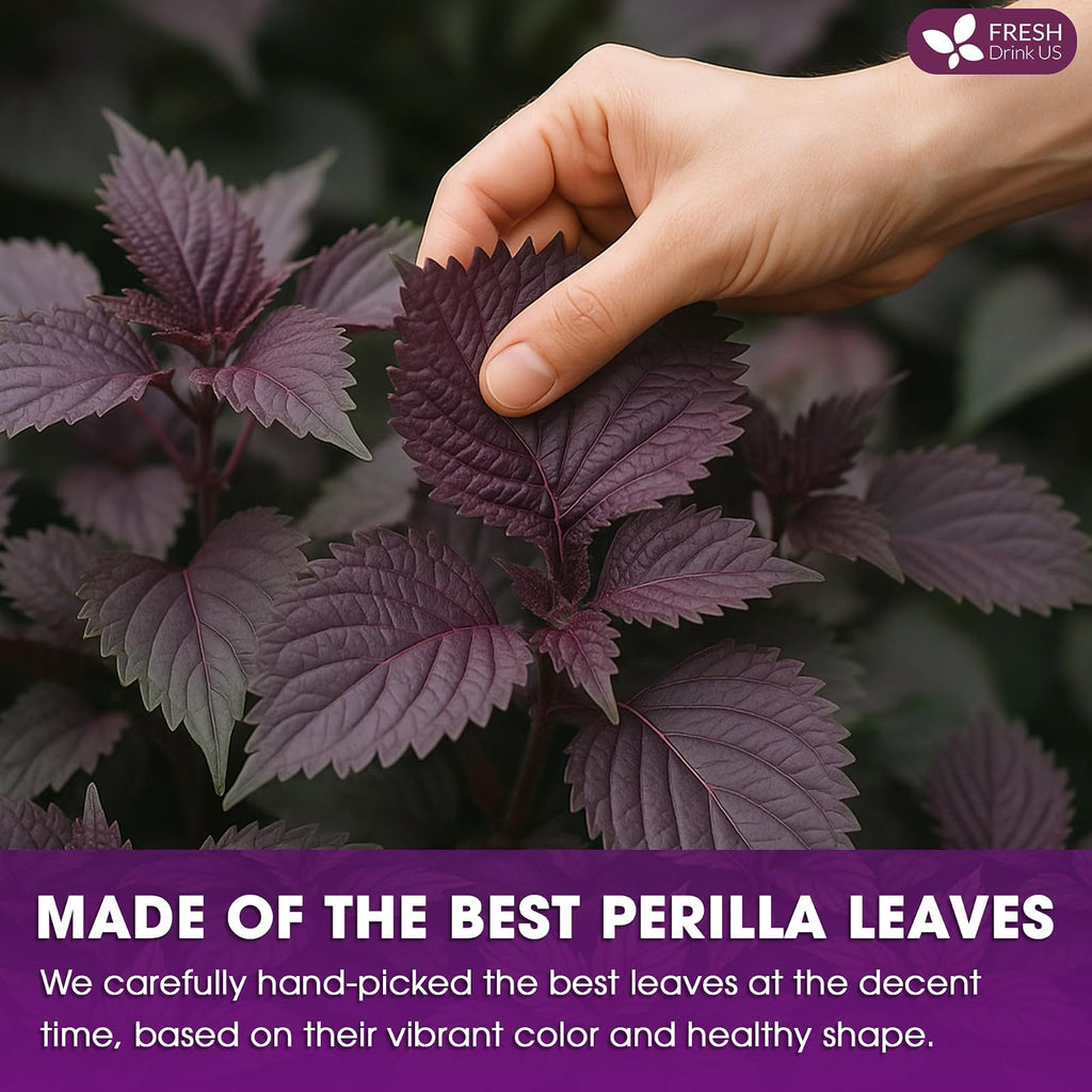 aromatic perilla leaf tea for digestion