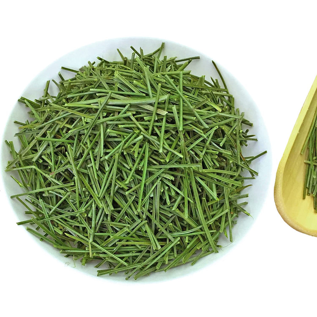 aromatic pine needle tea experience