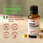 aromatic Roman chamomile oil benefits