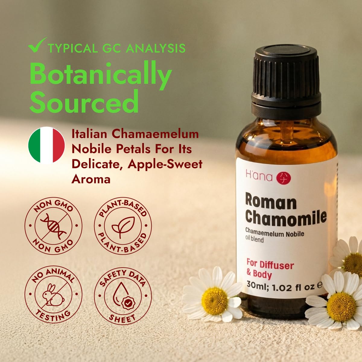 aromatic Roman chamomile oil benefits