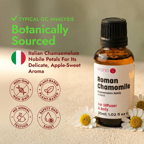aromatic Roman chamomile oil benefits