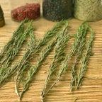 aromatic rosemary for seasoning