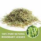 aromatic rosemary herbal infusion