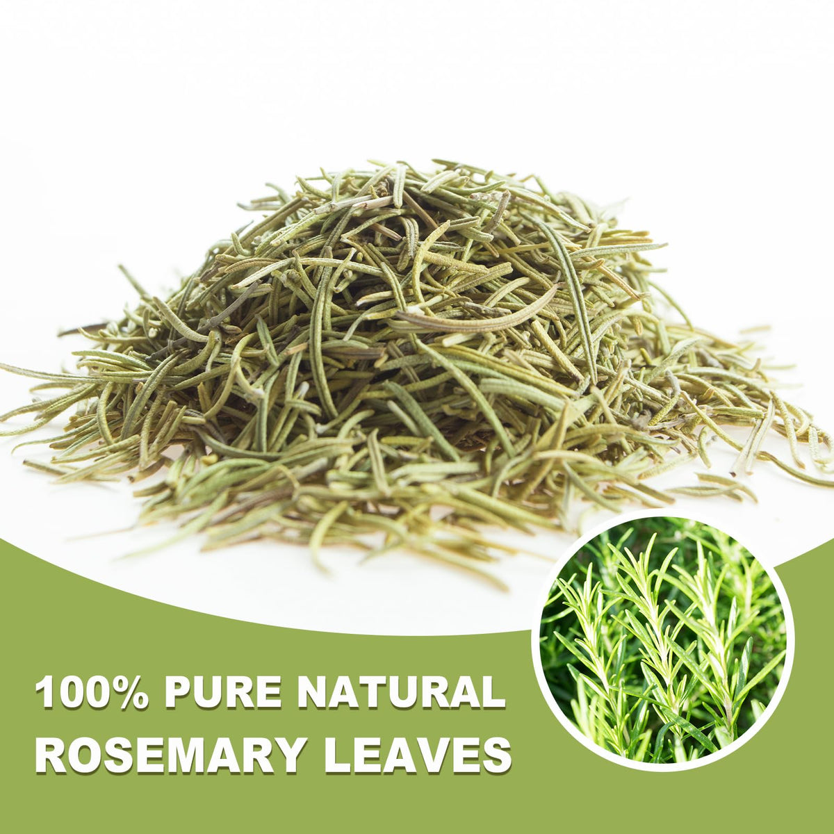 aromatic rosemary herbal infusion