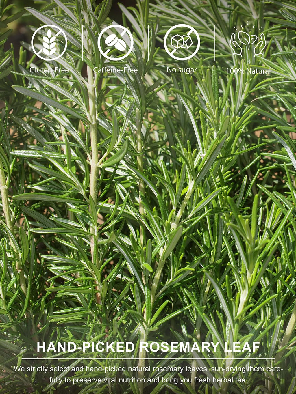 aromatic rosemary leaves for brewing