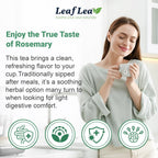 aromatic rosemary tea for wellness
