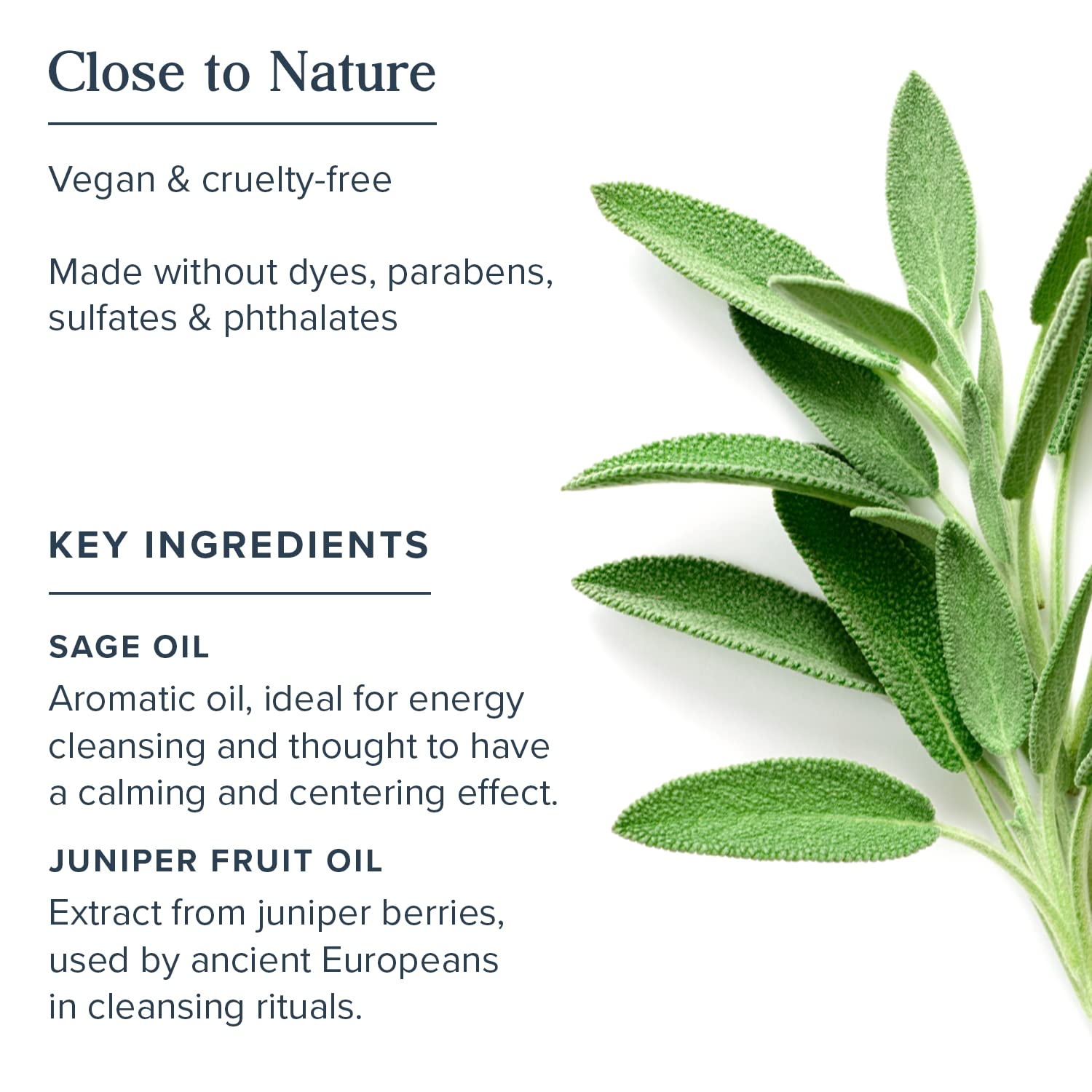 aromatic sage and juniper mist