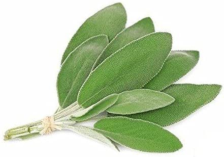 aromatic sage for relaxation