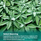 aromatic sage leaves tea bags