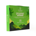 aromatic spearmint tea for daily enjoyment