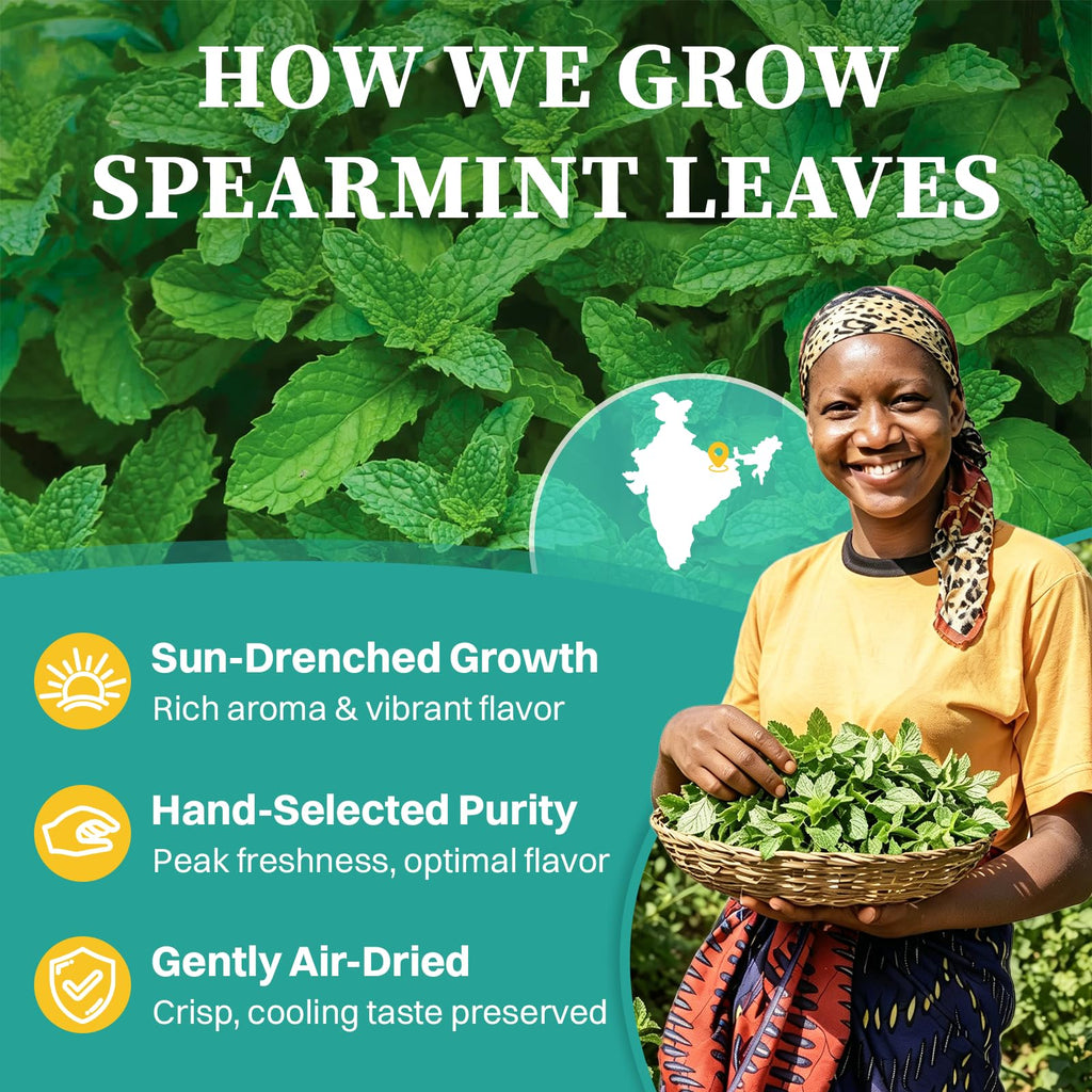 aromatic spearmint tea for energizing