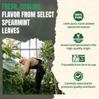 aromatic spearmint tea for relaxation