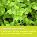 aromatic spearmint tea for wellness