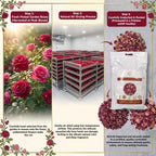 aromatic sun-dried rose tea blend