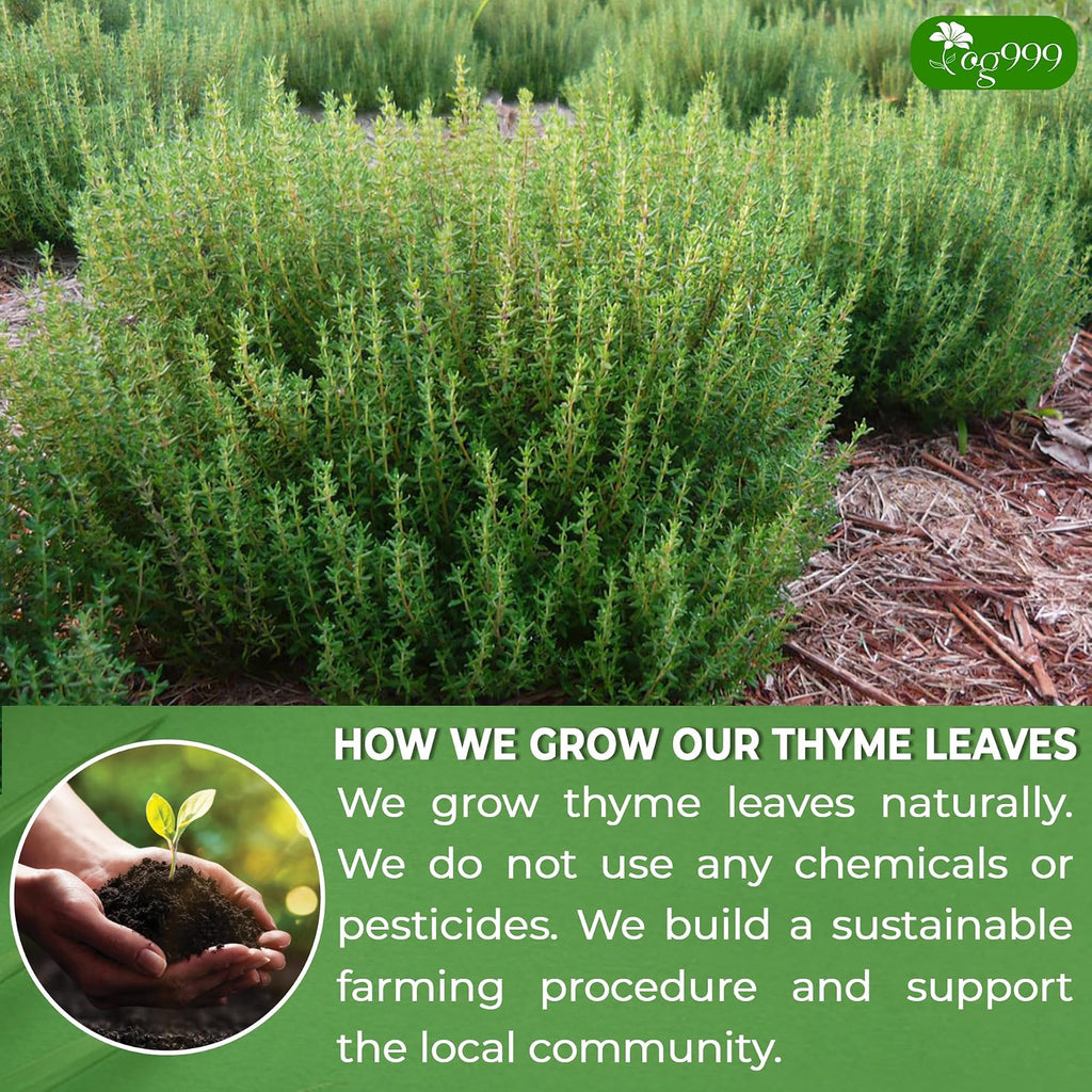 aromatic thyme tea for calming moments