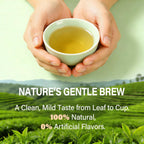 aromatic thyme tea for digestion