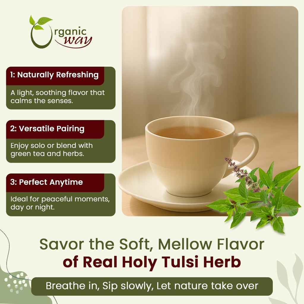 aromatic tulsi basil herbal infusion