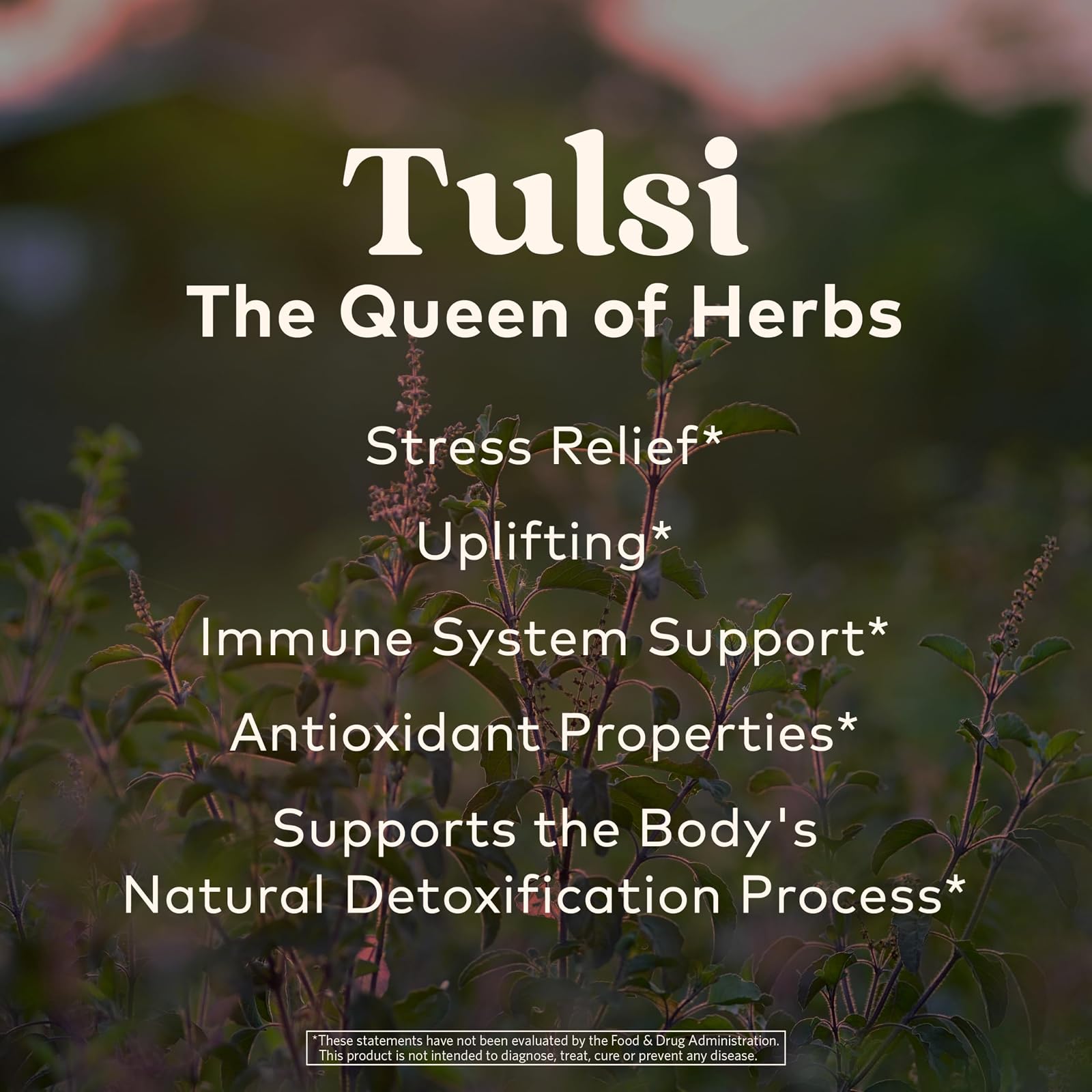 aromatic tulsi tea for relaxation