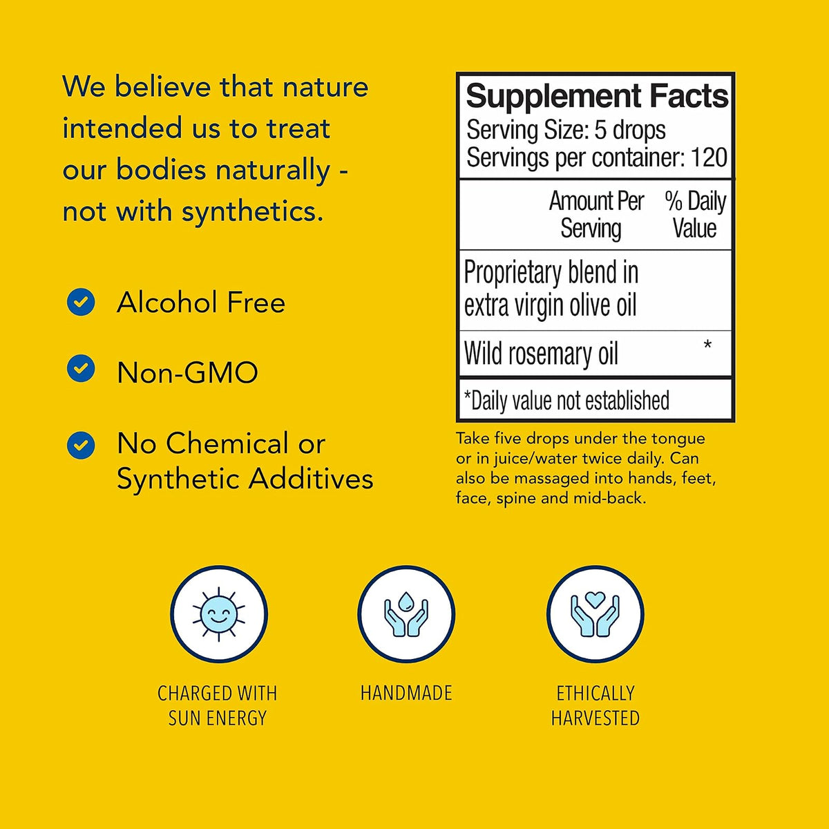 aromatic wild rosemary essential oil
