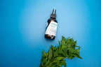 aromatics international peppermint hydrosol benefits