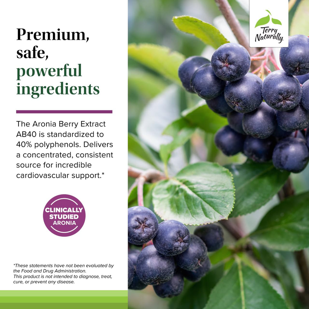 Aronia berry for antioxidant protection