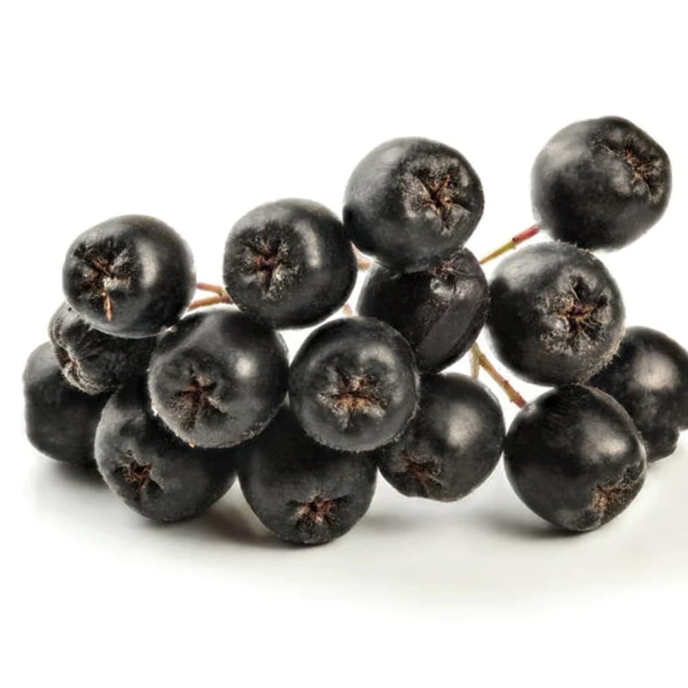 Aronia blended vitamin powder benefits