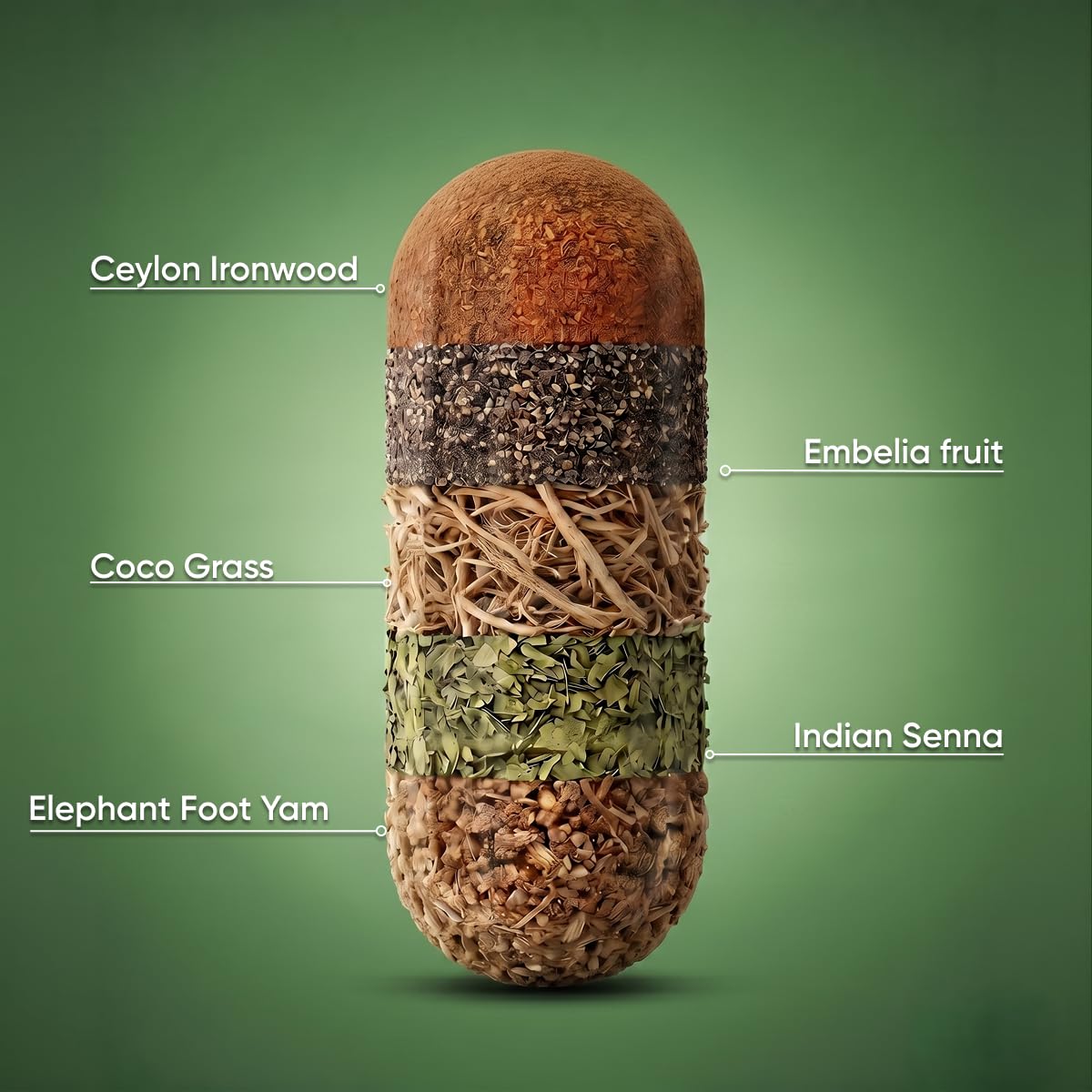 Arshoghna herbal remedy for discomfort
