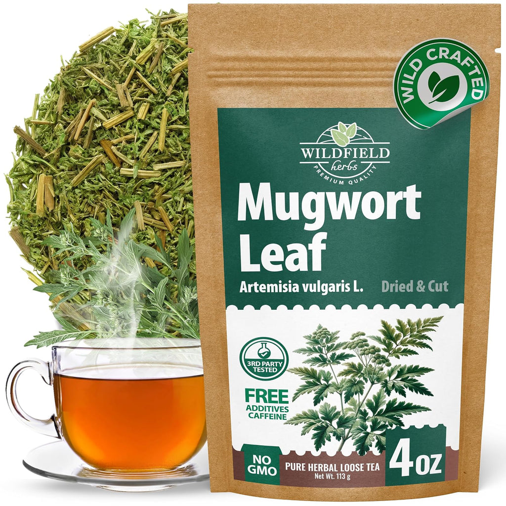 Artemisa dried mugwort tea benefits