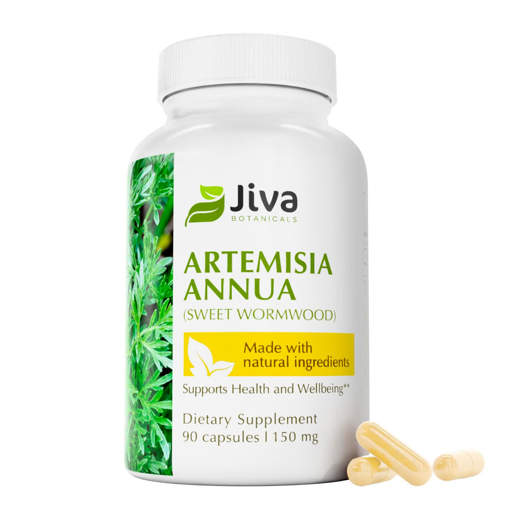 artemisia annua capsules for immune support