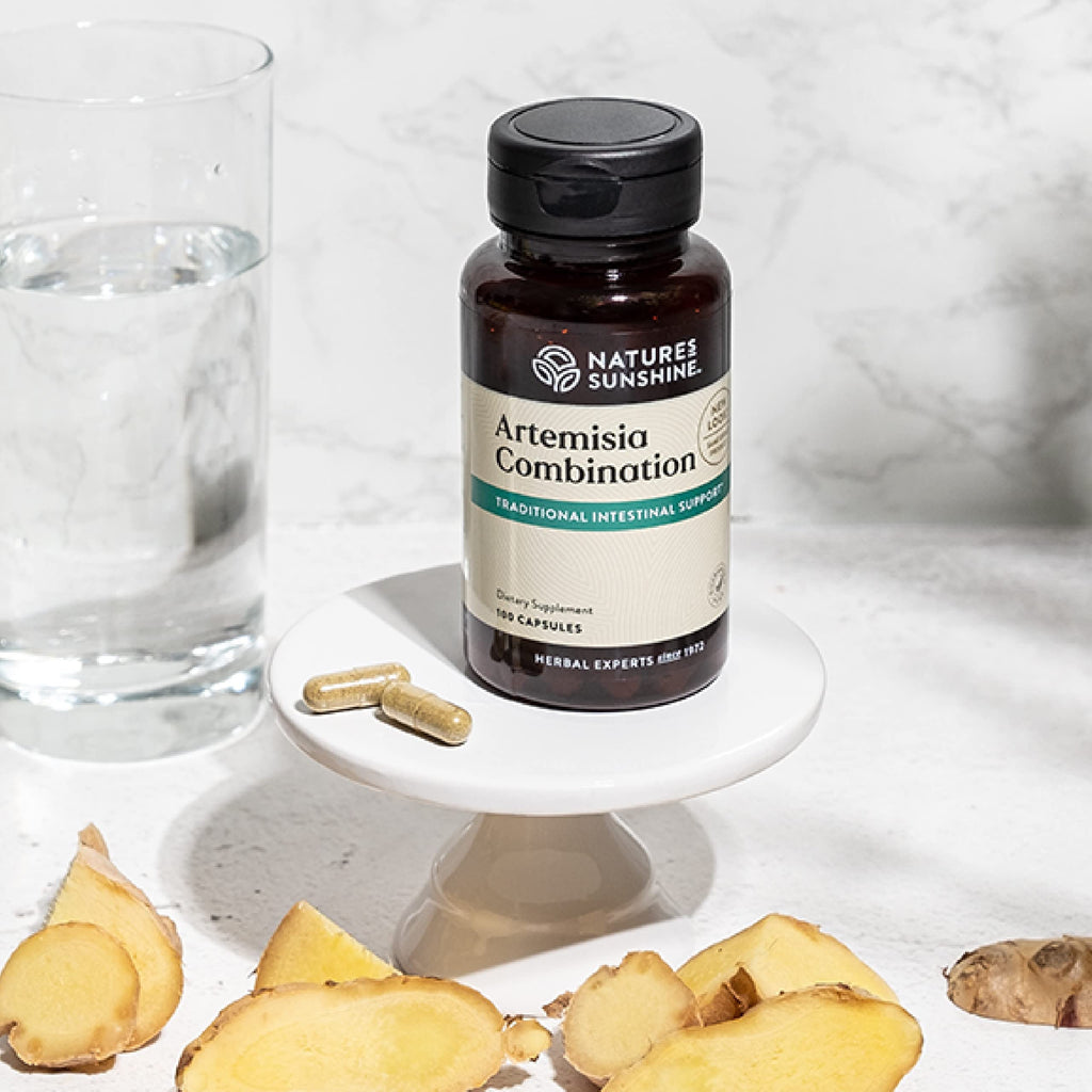 Artemisia combination health benefits