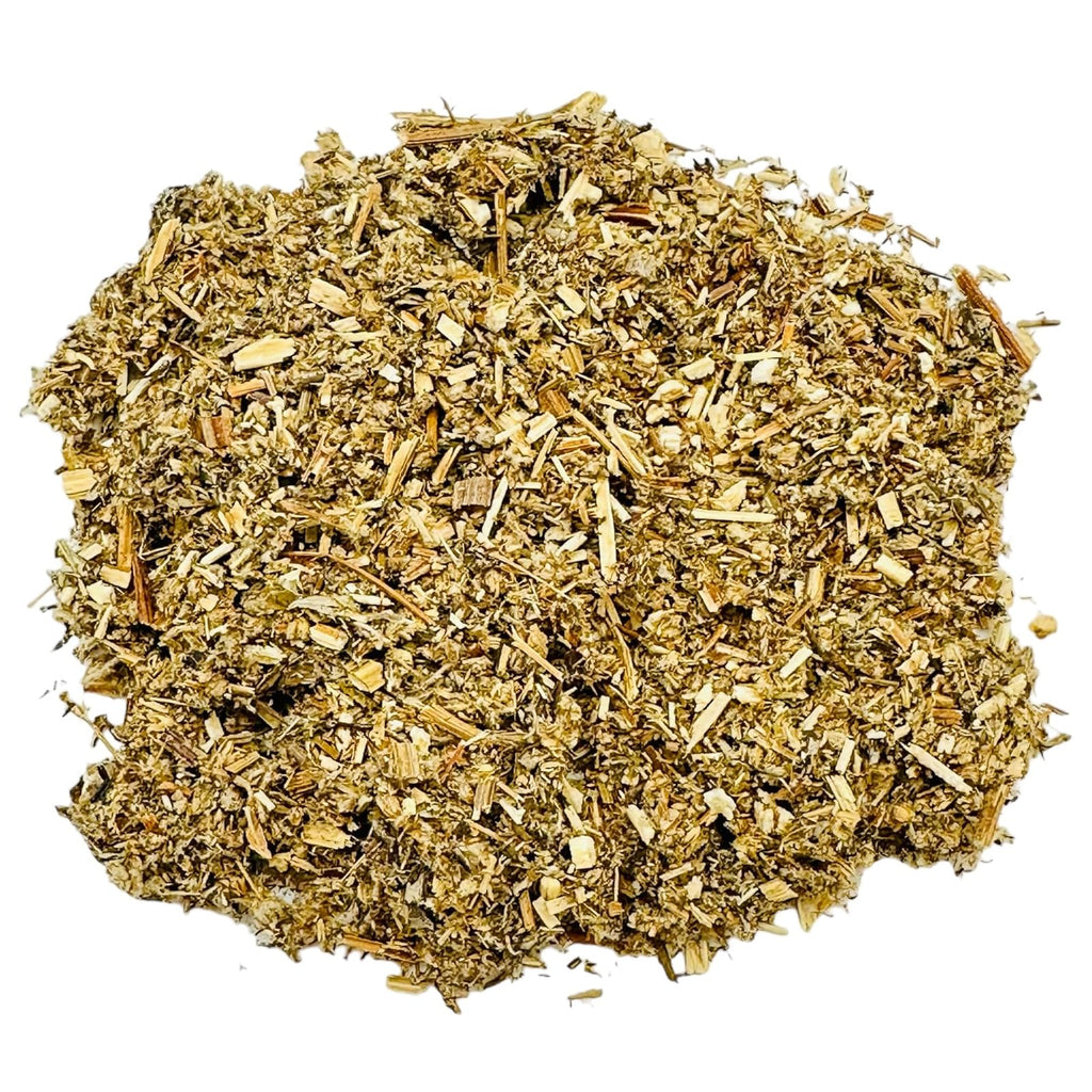 Artemisia Vulgaris herbal infusion