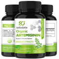 artemisinin vegan capsules for immunity