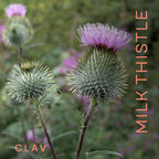 artichoke complex for liver health