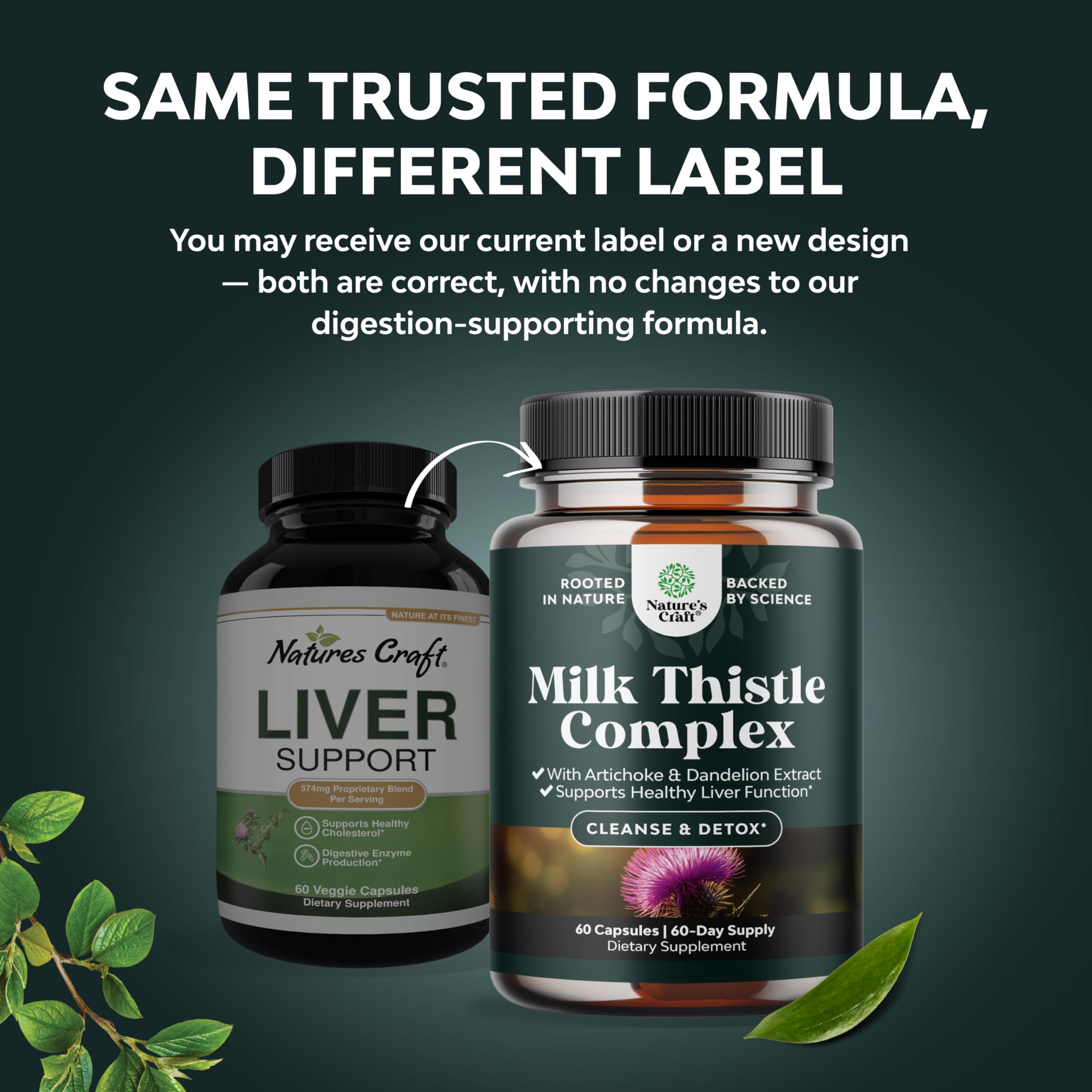 artichoke extract and milk thistle benefits