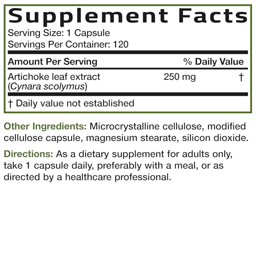 artichoke extract for enhanced nutrient absorption
