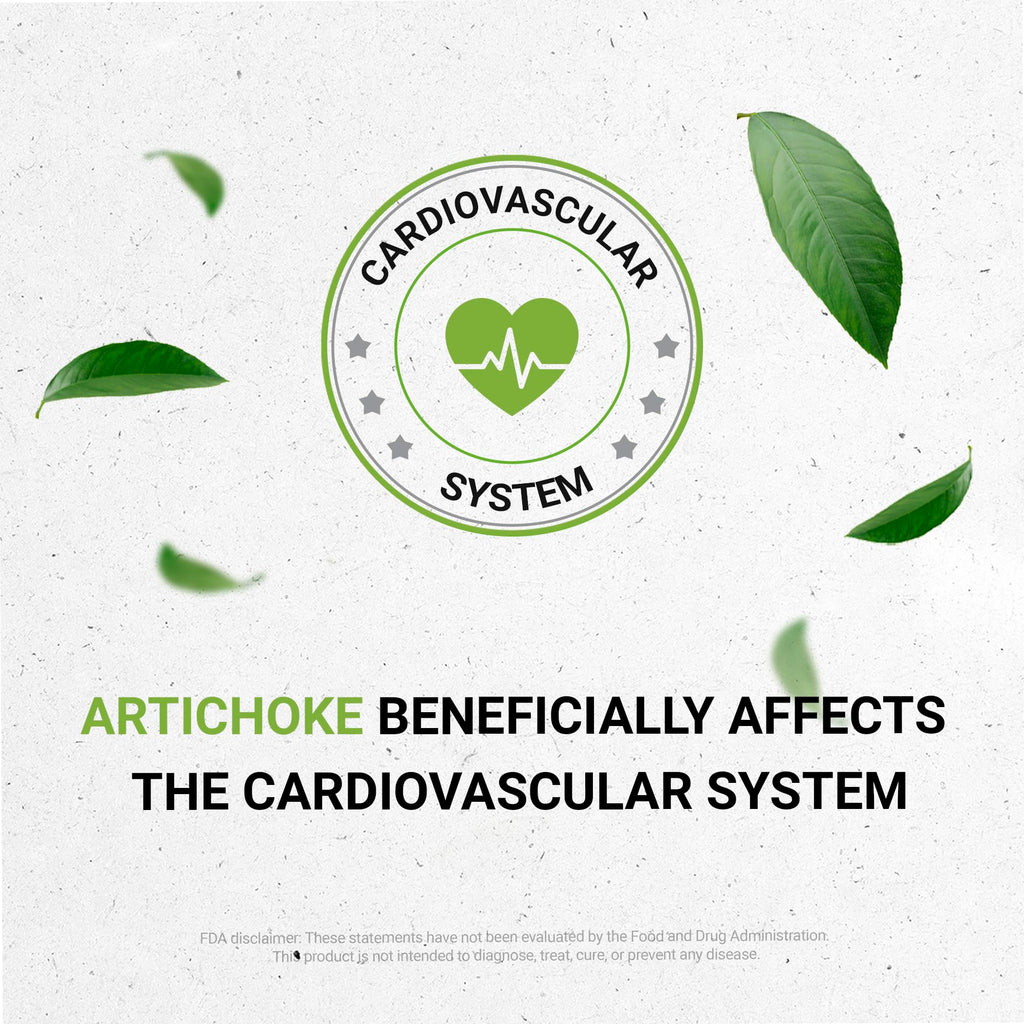 artichoke extract for healthy digestion