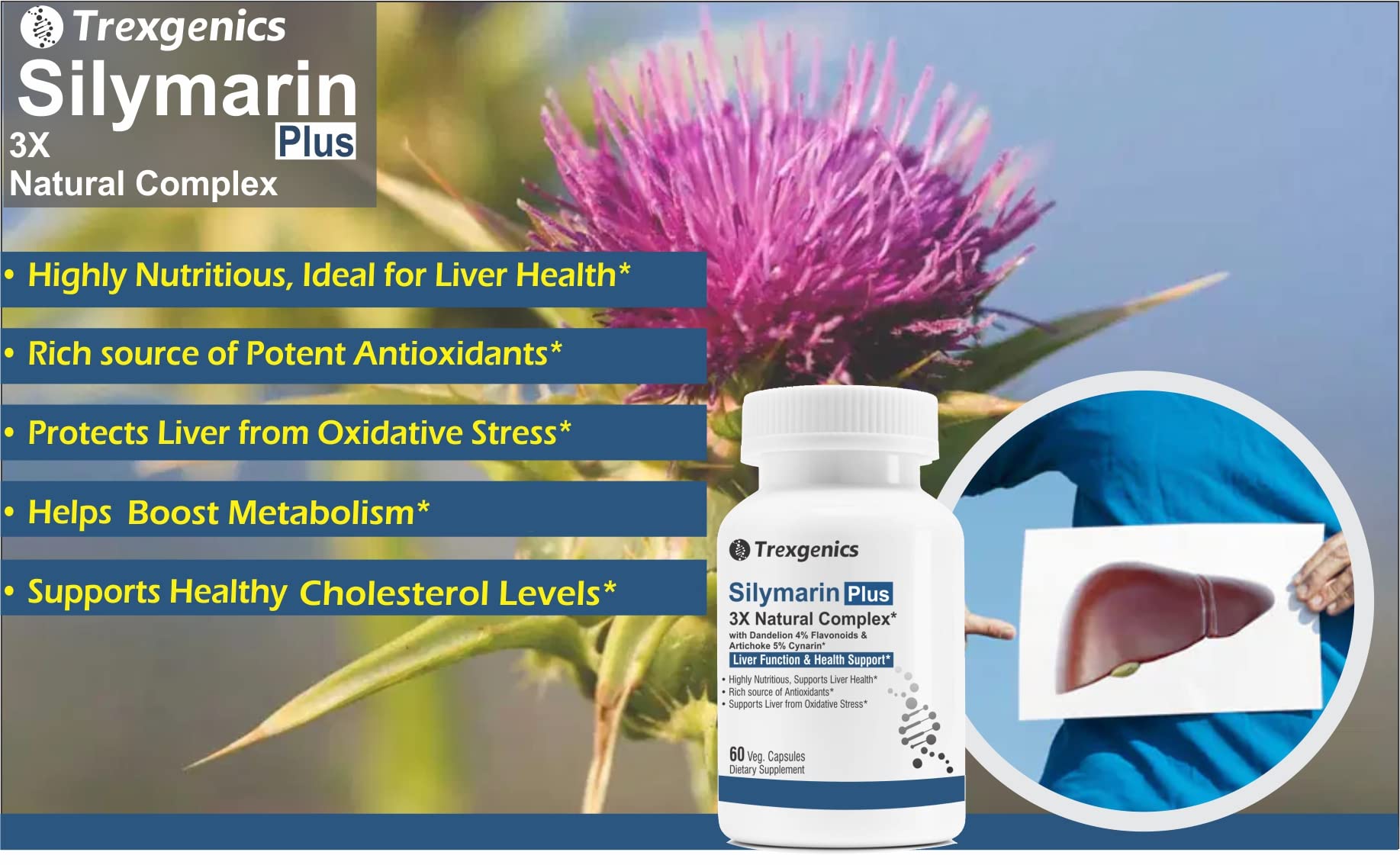artichoke extract for liver health