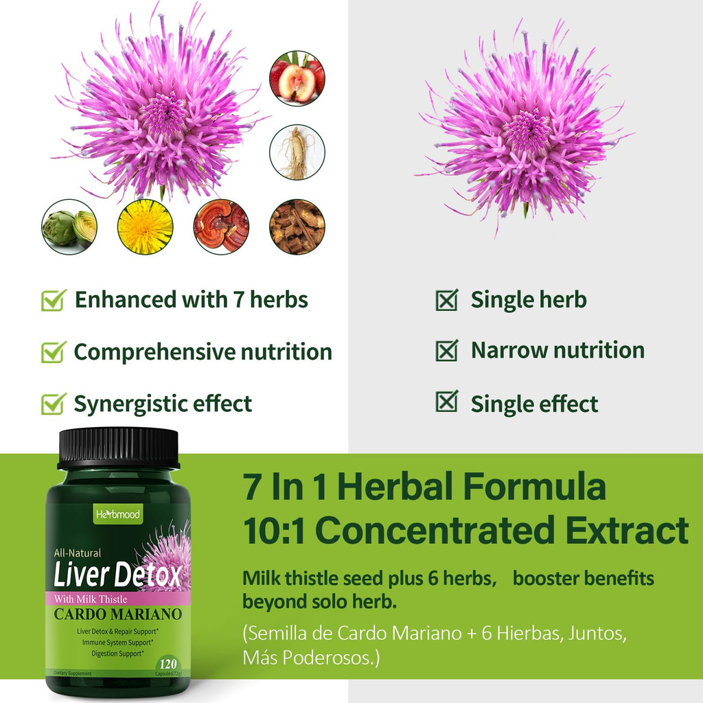 artichoke extract for liver health
