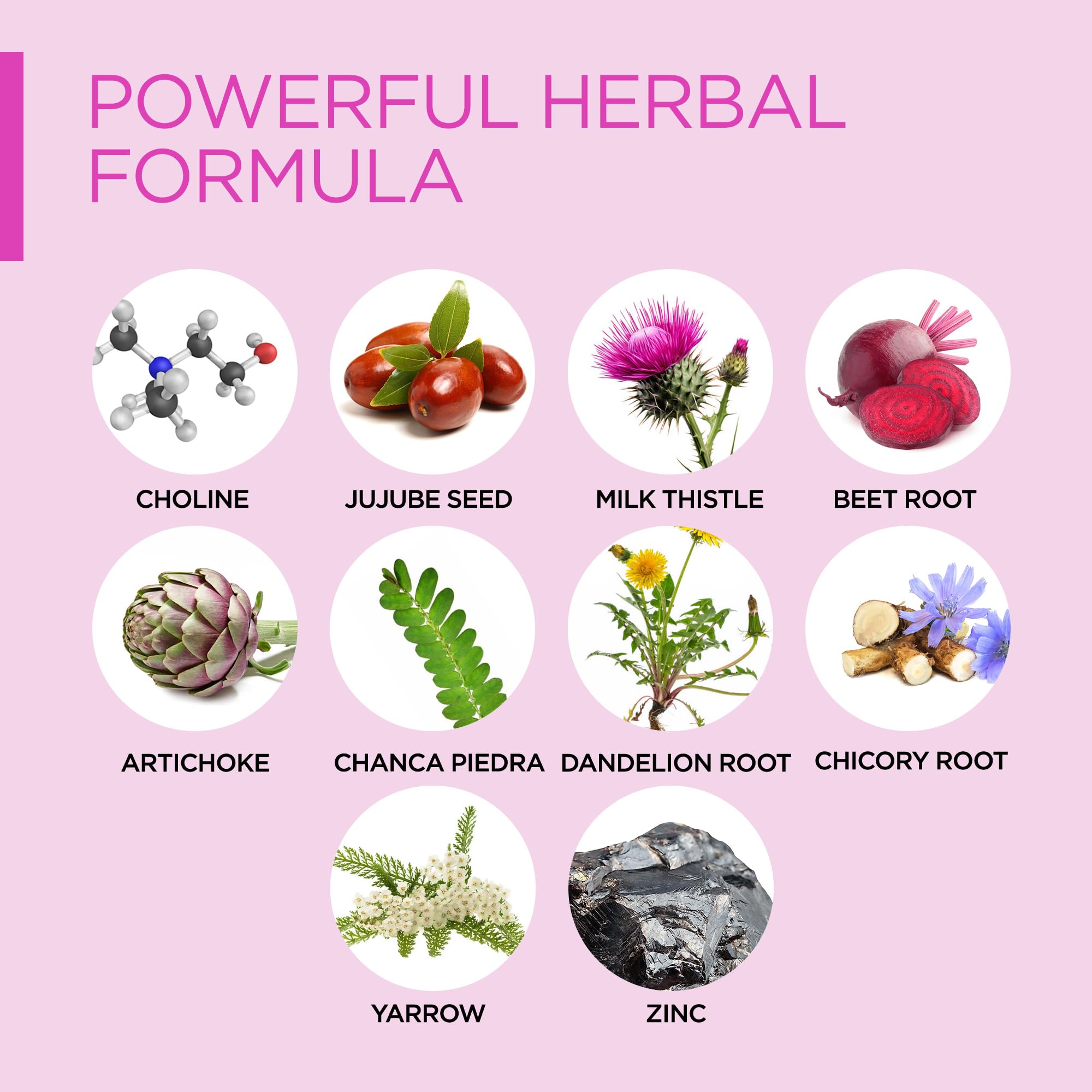 artichoke extract for liver support