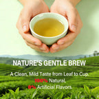 artichoke leaf tea for wellness