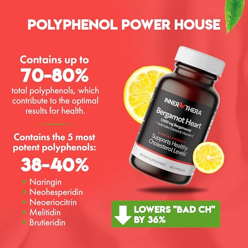 artichoke nutrition for a healthy lifestyle