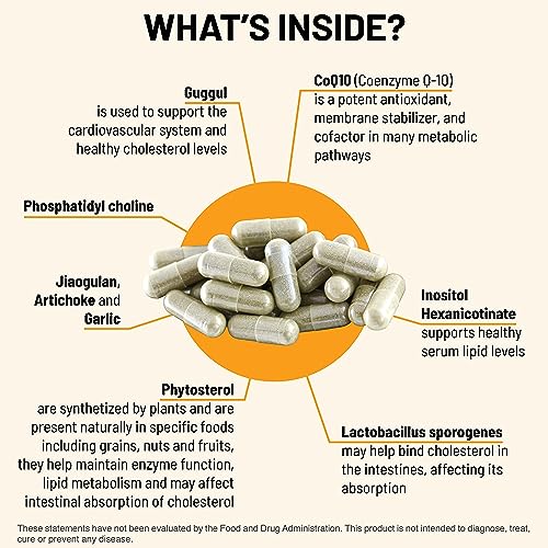Artichoke nutrition for healthy living